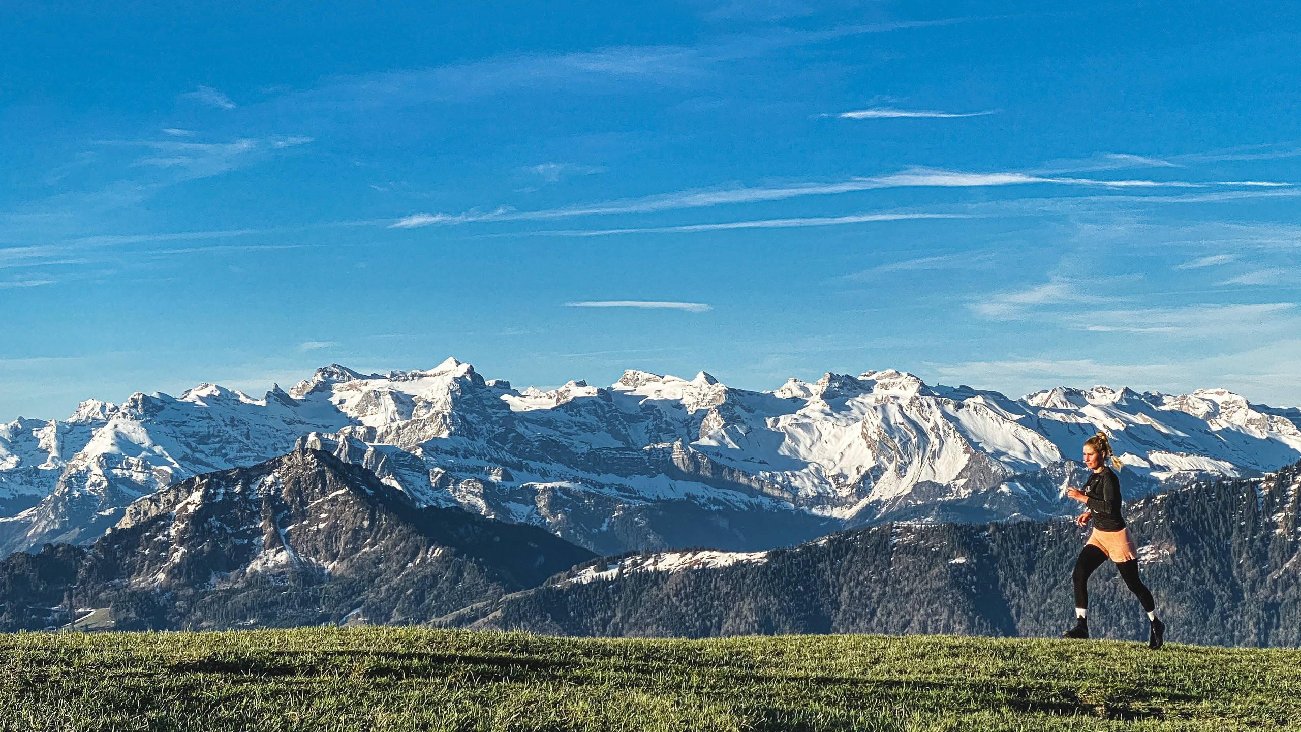 Zugerberg - Gnipen und Wildspitz - Zug.Run